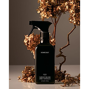 Homecourt Surface Cleaner Spray, All-Purpose, Clean Formula, 16 fl oz Cece