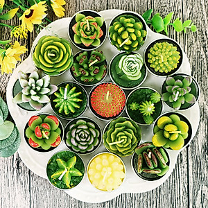 Succulent Cactus Candles (18 Styles,3 Thanks Cards&Gift Boxed) Succulent Decorative Tealights for Home Décor, SPA, Wedding, Baby Shower,Birthday Gift,Mothers Day Gifts,Christmas Gift Decor