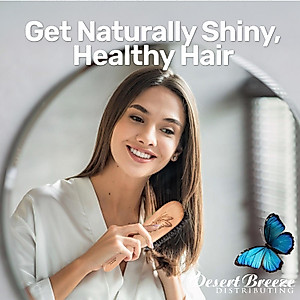 100% Pure Calcutta Boar Bristle Hairbrush for Natural Healthy Hair, Stiff Bristle, Made in Germany's Black Forest