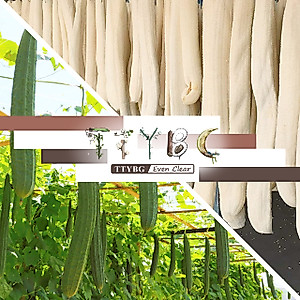 Natural Exfoliating Loofah Luffa Loofa Back Sponge Scrubber Brush with Long Wooden Handle Stick Holder Body Shower Bath Spa Pack of 2