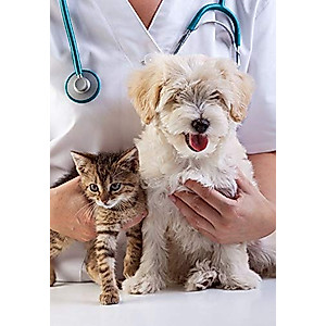 Joint Supplement for Dogs Chews - Pets Total Health Formula for Dogs and Cats Supplement - Dog Vitamin b Complex - 2 Bottles (120 Treats)