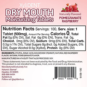 Nature's Stance XyliDENT Xylitol Tablets for Dry Mouth Relief - Stimulates Saliva, Freshens Breath, Reduces Acid Production, Fast Acting Extended Relief, 100 Count