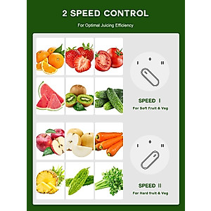 Dominion Juicer Machine, 600W Juicer with 3” Wide Mouth for Whole Fruits and Vegetables, Centrifugal Juice Extractor, Easy to Clean, Stainless Steel, BPA Free