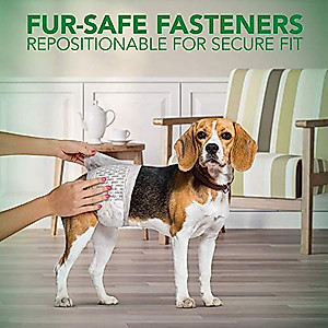 Vet’S Best Comfort Fit Disposable Male Dog Diapers | Absorbent Male Wraps with Leak Proof Fit | Small, 30Count