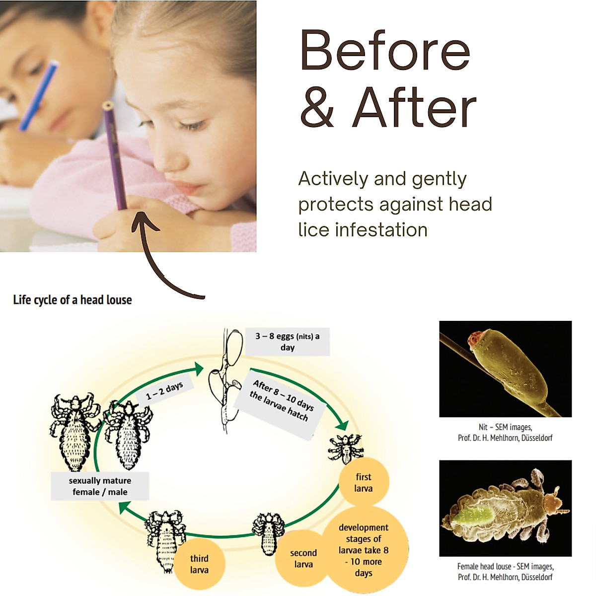RAUSCH Willow Bark Treatment Shampoo 200 ml