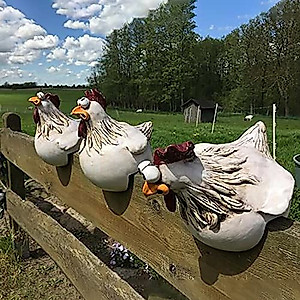 Feniyue 3PCS Funny Chicken Decor Garden Statues, Resin Statues Outdoor Decorative Stakes, Yard Art Sculptures for Backyard Farm Patio Lawn Fence Decorations, Rooster Kitchen
