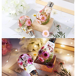 LET'S RESIN Light Bulb Resin Molds, 2PCS LED Bulb Silicone Molds for Resin, Large Resin Silicone Molds with 10PCS Caps, 4PCS LED LED Chip Base, Unique Resin Molds for Home Decor, DIY Gift