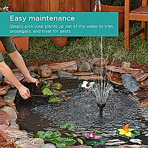 TotalPond Aquatic Plant Basket, 10-inch