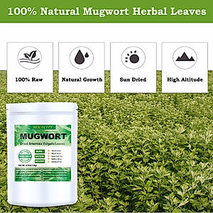 Dried Mugwort Leaves, 4oz(114g), Natural Artemisia Vulgaris Herb Loose Leaves