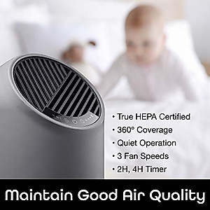 Breathe XL Smart Air Purifier, Grey