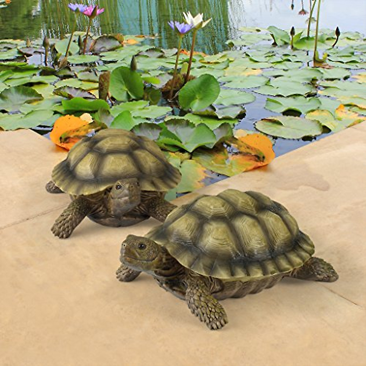 Design Toscano QM91887611 Gilbert The Box Turtle Garden Decor Animal Statue, Set of 2, full color