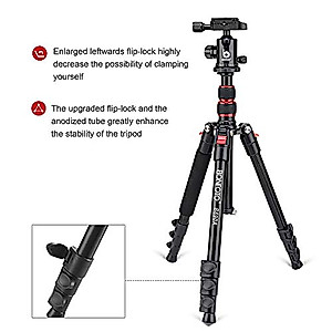 BONFOTO B690A Camera Tripod for Travel,Lightweight Aluminum Portable DSLR Tripod with 360 Degree Ball Head and Carry Bag, Camera Stand for Ring Light & Canon Nikon Sony DSLR