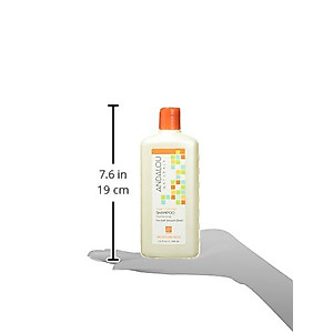 Andalou Naturals Argan Oil & Shea Moisture Rich Shampoo, Orange, 11.5 Ounce