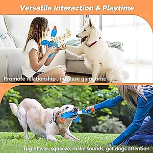 Vitscan Puppy Toys for Teething Small Dogs - Squeaky, Durable, Interactive Chew Toys for Aggressive Chewers