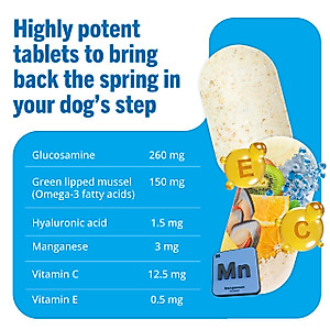 JOINTSURE Hip and Joint Supplement for Dogs 300 Tablets | Formulated with Glucosamine & Chondroitin for Dogs | Proven to Improve Mobility & Increase Flexibility | All Breeds & Sizes