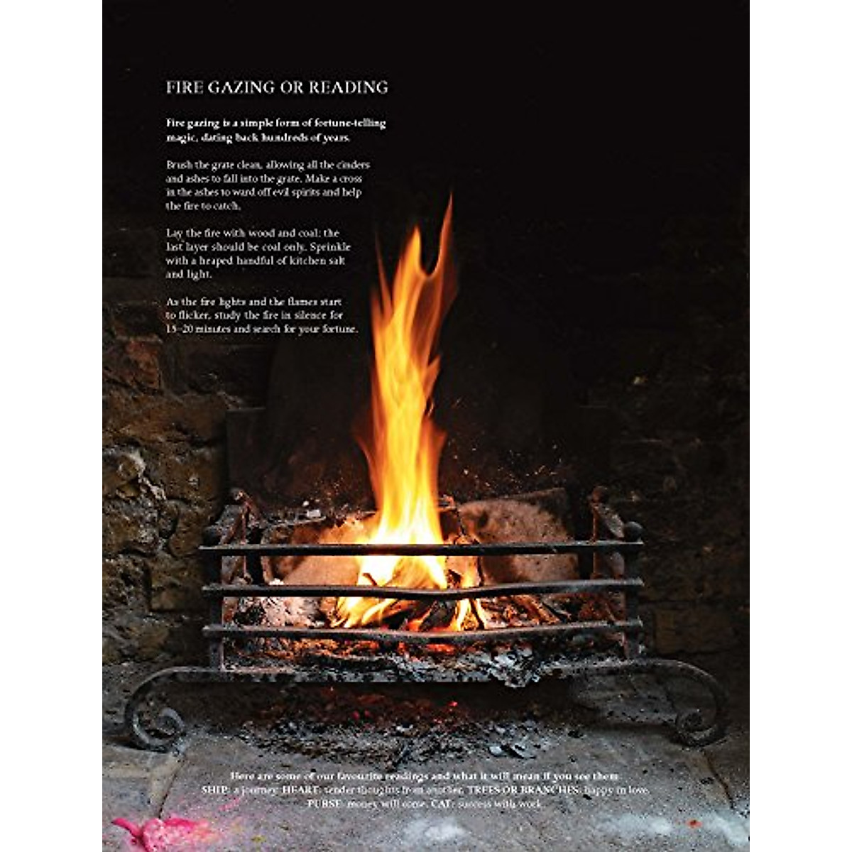 The Magpie and the Wardrobe: A Curiosity of Folklore, Magic and Spells