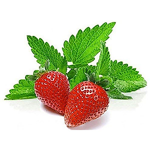 100+ Strawberry Mint Herb Seeds Non-GMO Fragrant Rare! US Grown!