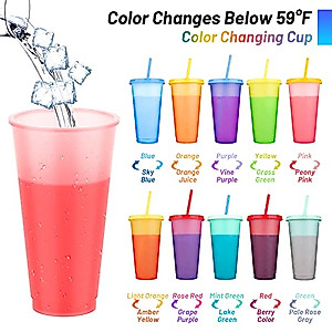 Mckanti 10 Pack Color Changing Cups with Lids and Straws, 24 oz Plastic Cups Kids Tumbler, Reusable Cups for Iced Coffee Drinking Summer Party