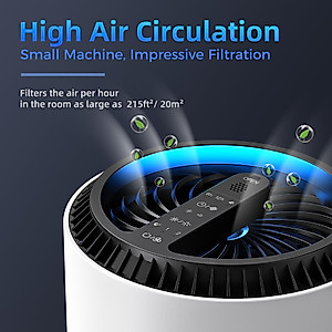AROEVE Air Purifier with Two Filter(One Basic Version & One Standard Version)