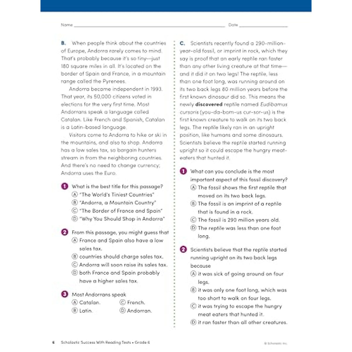 Scholastic Success with Reading Tests Grade 6 Workbook (Scholastic Success; Grade 6)
