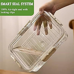 Ztaussi Snack Containers, 1pc Snackle Box Charcuterie Container 8 Compartment Divided Serving Tray with Lid and Handle,Portable Snack Platters Travel Food Organizer (1pc(8 Compartment))