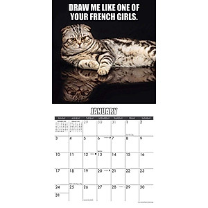 Cat-Astrophe 2021 Wall Calendar