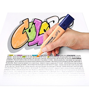STAEDTLER Textsurfer Classic 364 Highlighter, Case with 10 Colours, Pastel & Vintage 364 CWP10