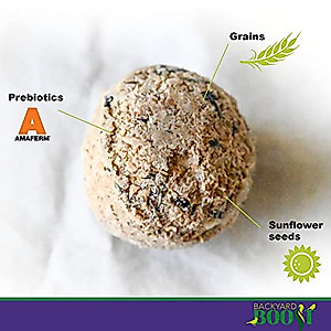 Backyard Boost Busy Balls - Prebiotic Chicken Food Treat to Alleviate Boredom - 1.36.Pounds (Pack of 6)