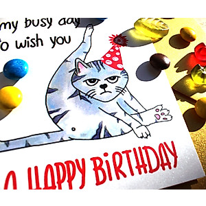Taking Time out of My Busy Day to Wish You a Happy Purr-fect Birthday Handmade Card from Grumpy Cat, Funny Bday Gift for Cat Mom, Cat Dad or Cat Lover
