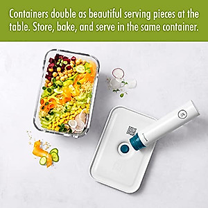 ZWILLING Fresh & Save Airtight Food Storage Container, Large, La Mer