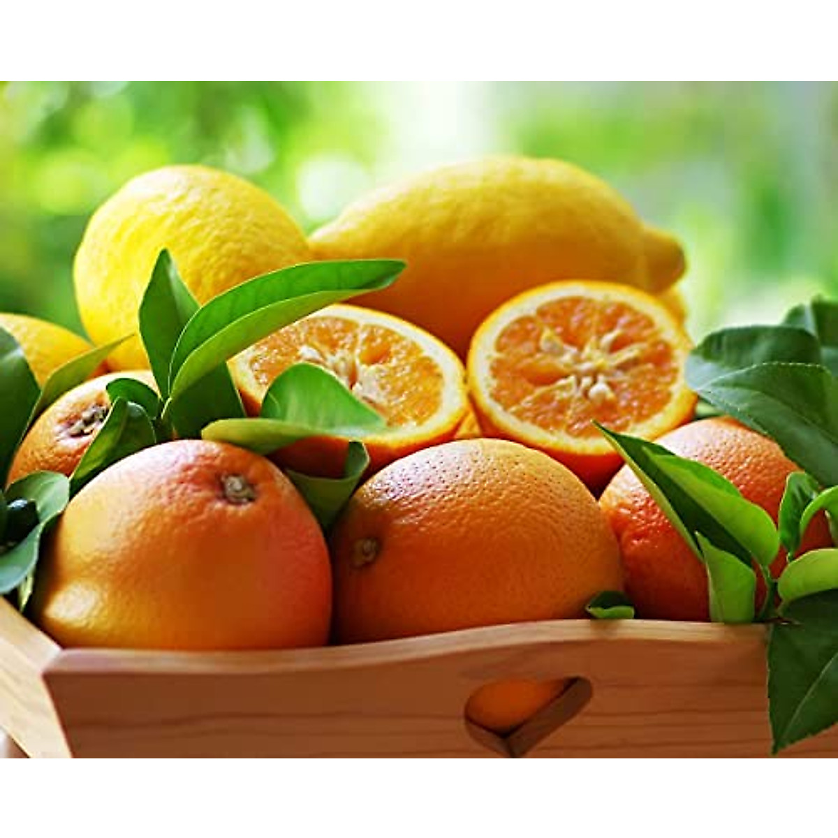 600+ Mix Fruit Seeds Combo Pack - 6 Variety Non-GMO Heirloom and Organic, Strawberry Seeds Raspberry Seeds Mulberry Seeds Apple Seeds Orange Seeds Blueberry Seeds for Planting Home Garden