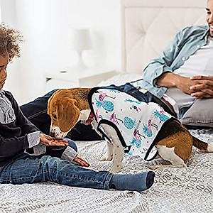 TEHAUX Hawaiian Shirts 3PCS Summer Pet T- Shirts Dog Shirts Pet Cooling Waistcoats Breathable Vest Costume Pet Clothes Dog Supplies (Size S) Summer Dress