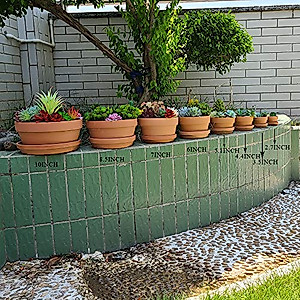 Yishang 5 Inch Shallow Terracotta Clay pots with Drain Hole,Ceramic Plant pots for Indoor/Outdoor Plants,Unglazed Bonsai Planter with Saucer/Tray for Cacuts/Succulent Plants