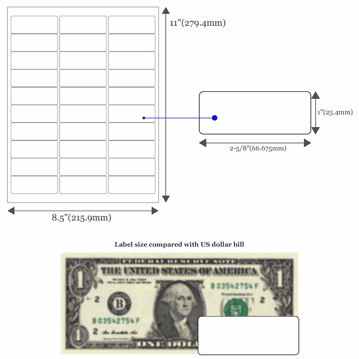 Mr-Label 1" x 2-5/8" Kraft Brown Rectangle Labels – Permanent Adhesive Blank Labels for Inkjet & Laser Printer – for Envelope | Gift Bag | Bottle | Handmade (10 Sheets|300 Labels)