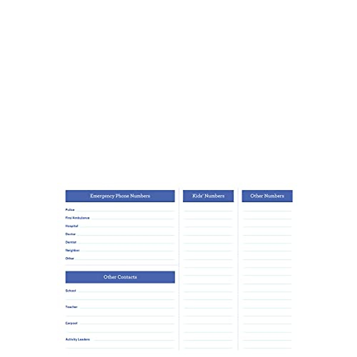 2024 Amy Knapp's Big Grid Family Organizer Wall Calendar: 17-Month Giant Fridge Calendar for Mom with 175+ Stickers (Hanging Family Plan Calendar, Thru December 2024)