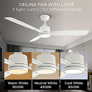TALOYA 2 Pack 52 inch Ceiling Fans with Lights,Quiet Ceiling Fan with Reversible DC Motor and Remote for Home, White/Oak Finish