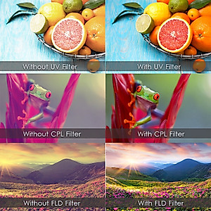 Canon EOS Rebel Accessory Kit - 58mm Lens Filter Set for T7i, T6i, T6S, T5i, T5, T4i, T3i, T3, T2i, EOS 80D, 70D, 77D, 60D, 5D, 5D Mark III, 1200D, 1100D, 100D, SL1, M3, M2, M, Xsi, XTi, XT