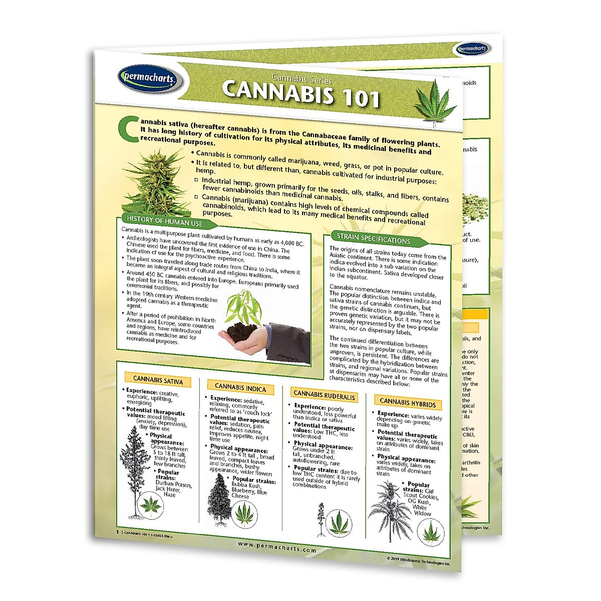 CBD Educational Charts - 8 Chart Bundle - Quick Reference Guides - Cannabinoid Educational Series by Permacharts