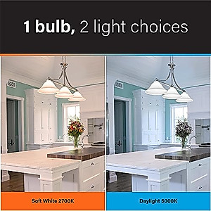 Feit Electric LED Color Selectable Timer Intellibulb - A19 with an E26 Medium Base Light Bulb - 60W Equivalent - 15 Year Life - 800 Lumen - 2700K Soft White and 5000K Daylight