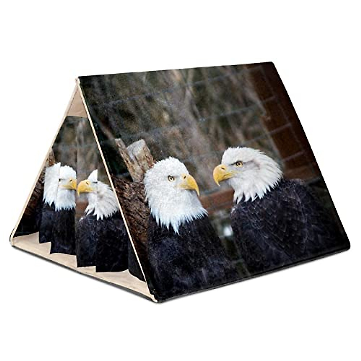 Y-DSIWX Guinea Pig Hideout House Bed, Bald Eagles Animal Rabbit Cave, Squirrel Chinchilla Hamster Hedgehog Nest Cage