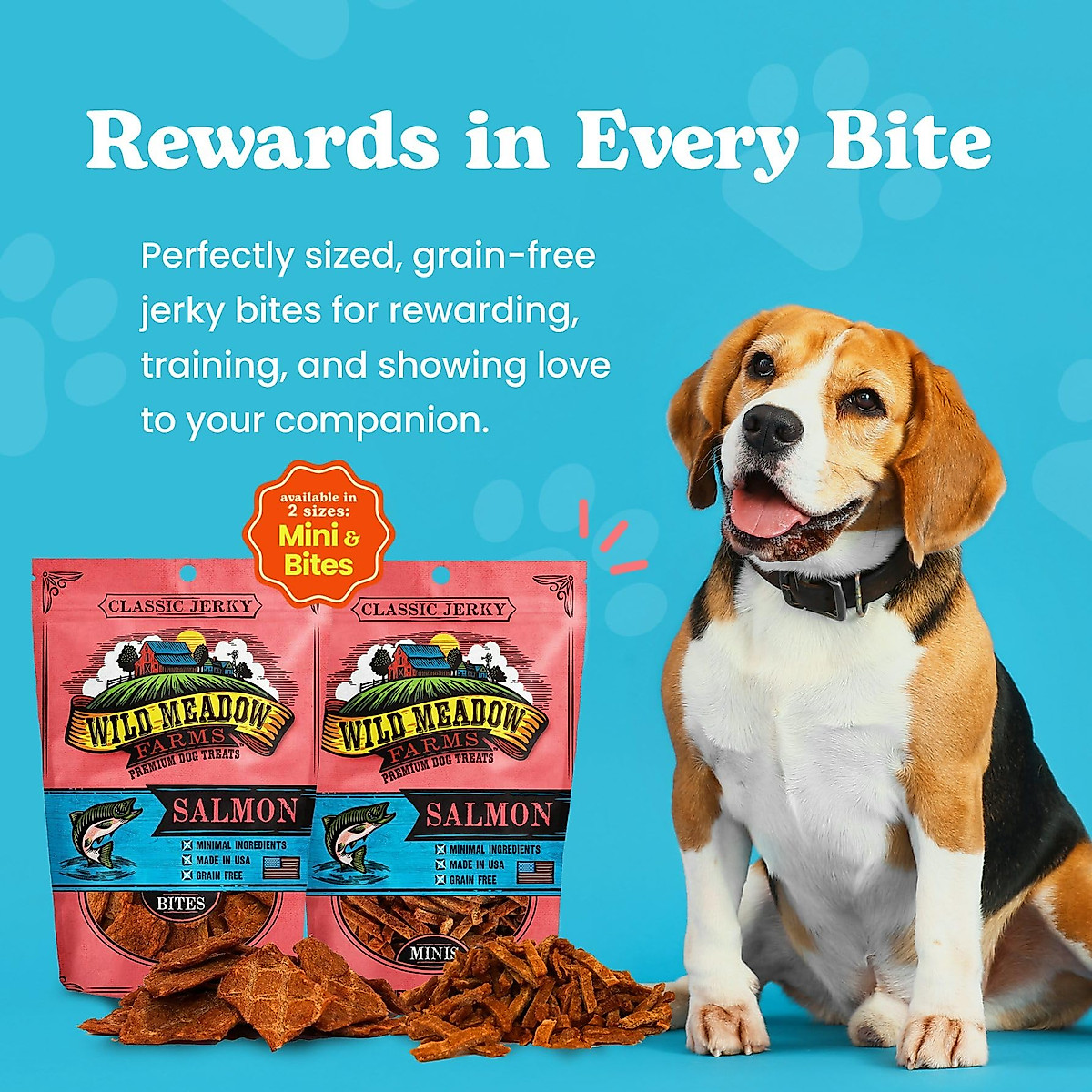 Wild Meadow Farms - Classic Salmon Bites, Soft Jerky Treats for Dogs, Grain-Free & All-Natural, Ideal for Training, Portioning, and High-Value Rewards for All Breeds & Ages - 3.5 Ounce Pouch