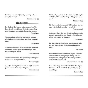 The Bible Promise Book - NLV (New Life Bible)