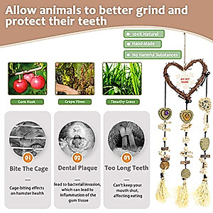 DAMPET Bunny Chew Toys， Bunny Teeth Grinding Chew Toys, Rabbit Cage Hanging Chew Toys, All Natural Materials for Guinea Pigs, Hamsters, Rabbits and Rats