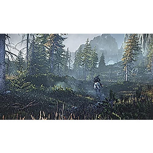 The Witcher 3: Wild Hunt - PlayStation 4 [video game]