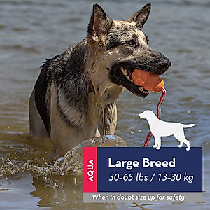 KONG - Aqua and Training Dummy - Floating Fetch Toy for Water Play and Training - for Large Dogs