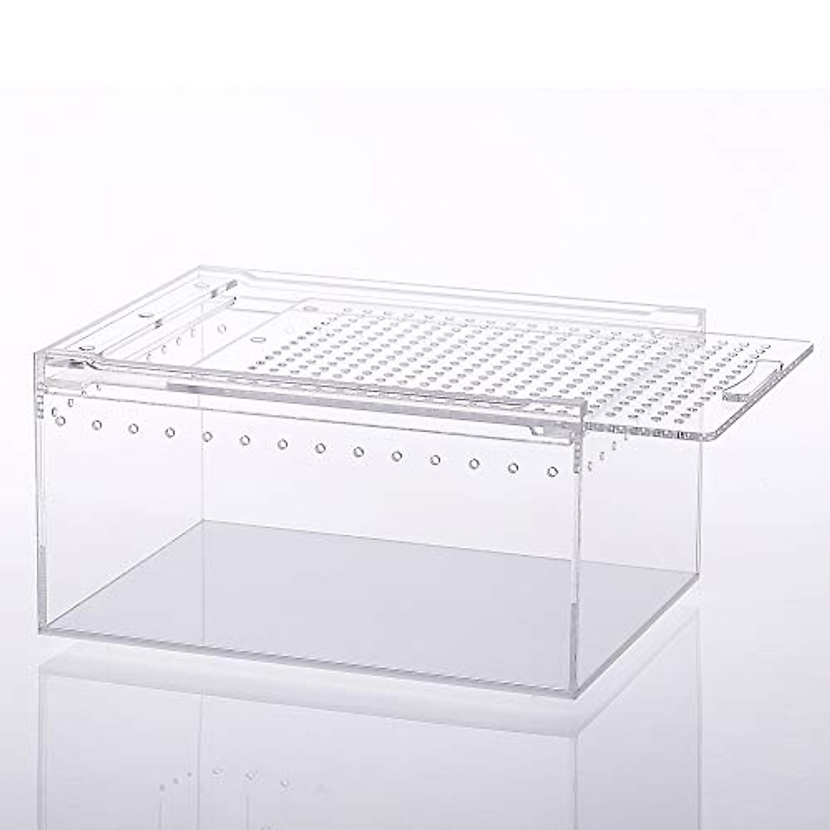 NANEEZOO Magnetic Acrylic Reptile Case - 8"x6"x4" Flat Long Enclosure Transparent Reptile Breeding Box Terrarium Cage - for Tarantula Scorpion Sling Isopods Invertebrates & Insect Mantis