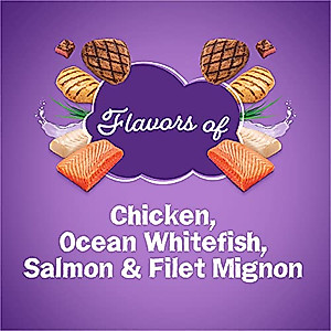 Purina Friskies Dry Cat Food, Surfin' & Turfin' Favorites - 16 lb. Bag