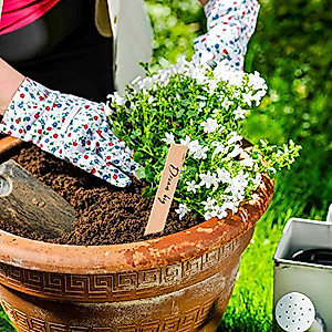 Whaline 100Pcs Wooden Plant Labels Pointed Wooden Garden Markers Waterproof Eco-Friendly Plant Sign Tags Decorative Garden Tags for Seed Potted Herbs Flowers Vegetables with 2 Marker Pen (15 x 2 cm)