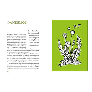 The Heirloom Gardener: Traditional Plants and Skills for the Modern World