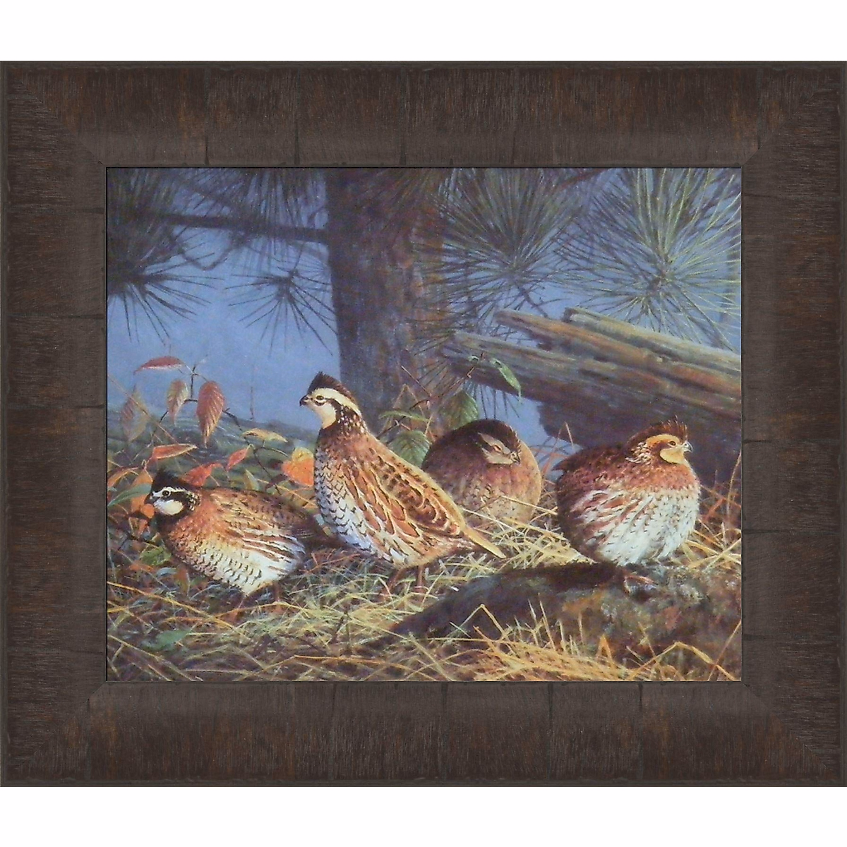 Home Cabin Décor Flat Creek Covey by Scott Zoellick 12x14 Quail Birds Pine Tree Wildlife Framed Art Print Picture